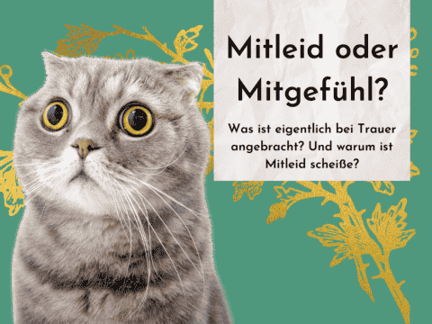Mitleid oder Mitgefühl - Danachblog